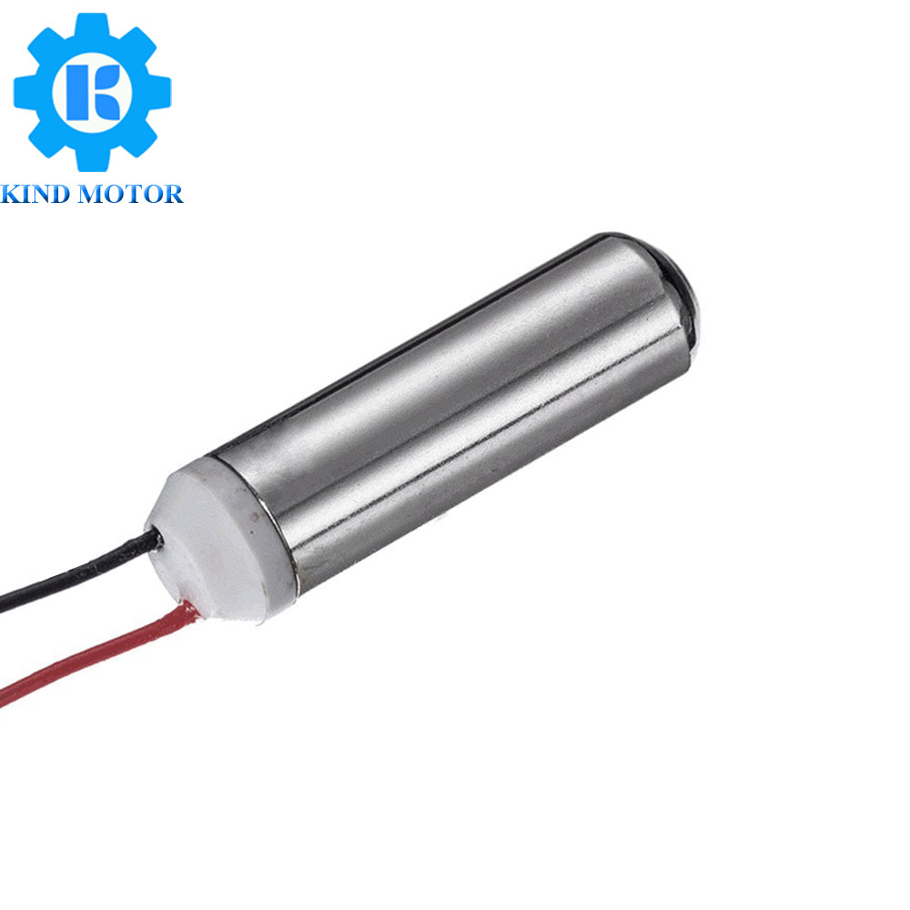 Permanent Magnet DC Coreless Motor , 2g High Torque Dual Shaft Dc Motor